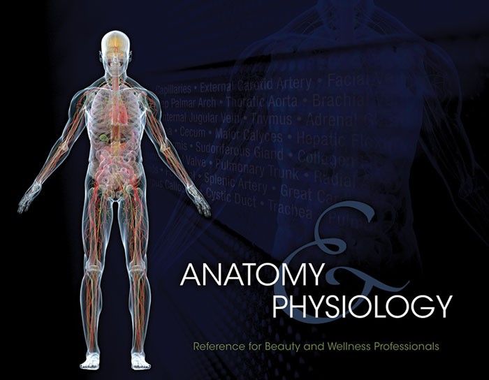 Anatomy Physiology Reference For Beauty And Wellness Professionals 